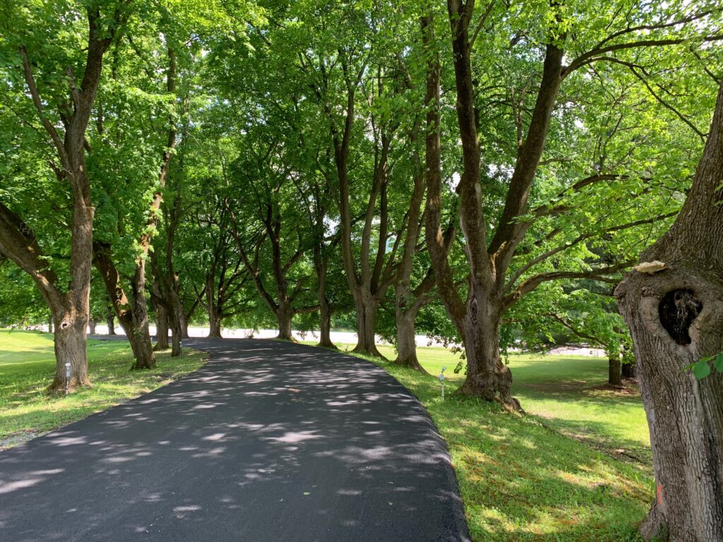 About Us | MV Golf and Event Center | Little Falls, NY